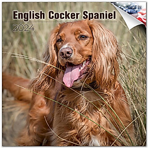 2023 2024 English Cocker Spaniel Calendar - Dog Breed Monthly Wall Calendar - 12 x 24 Open - Thick No-Bleed Paper - Giftable - Academic Teacher's Planner Calendar Organizing & Planning - Made in USA
