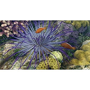 Endless Ocean: Blue World - Nintendo Wii (Renewed)