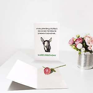 Chenive Funny Donkey Birthday for Him Her, Quirky Birthday Card for Friend Brother Sister, Humorous Birthday Greeting Card for Men Women, Two Donkeys Staring at Each Other
