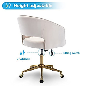Home Office Chair Swivel Velvet Desk Chair Accent Armchair Upholstered Modern Tufted Chairs with Gold Base for Girls Women Ergonomic Study Seat Computer Task Stools for Living Room(Cream)