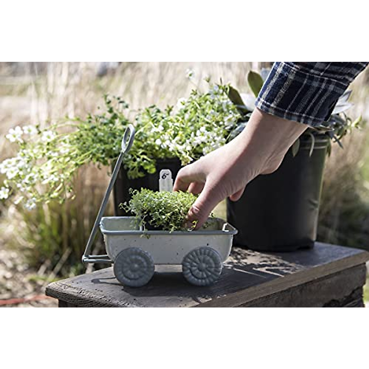 Foreside Home & Garden White Rustic Antique Gray Metal Wagon Soap Dish