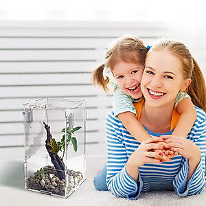 BETAZOOER Acrylic Mini Reptile Tank Habitat Transparent Terrariums with Locking Latch Suitable for Tarantula Isopod Roach Invertebrates (8''x6''x14'')