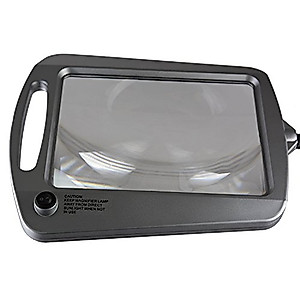 daylight24 402039-BRNZ Full Page 8 x 10 Inch LED Illuminated Floor, Bronze Magnifier Lamp