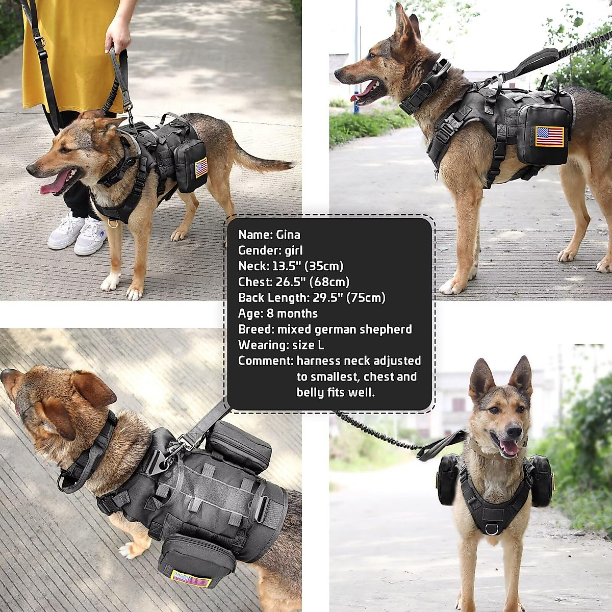 Forestpaw Tactical Dog Harness for Large Dogs,Tactical Dog Collar with Bungee Leash Set,No Pull Military Dog Harness for Dog Walking Training,Adjustable for Medium Large Dogs,Black S