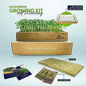 Microgreens Growing Kit Self Watering - Includes Microgreens Tray, Microgreens Seeds, Mats and Bamboo Surround. No Soil Needed. Easy to Set up. Sprouting Kit that water once. Guaranteed to Grow.