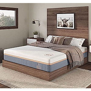 Nest & Wild Mattress Plush 12 Inch | Made in The USA | 100% Fiberglass-Free Cool Touch Cover | Ventilated Memory Foam | Bed in a Box | CertiPUR-US & OEKO-TEX100 Certified Foams (Twin XL)