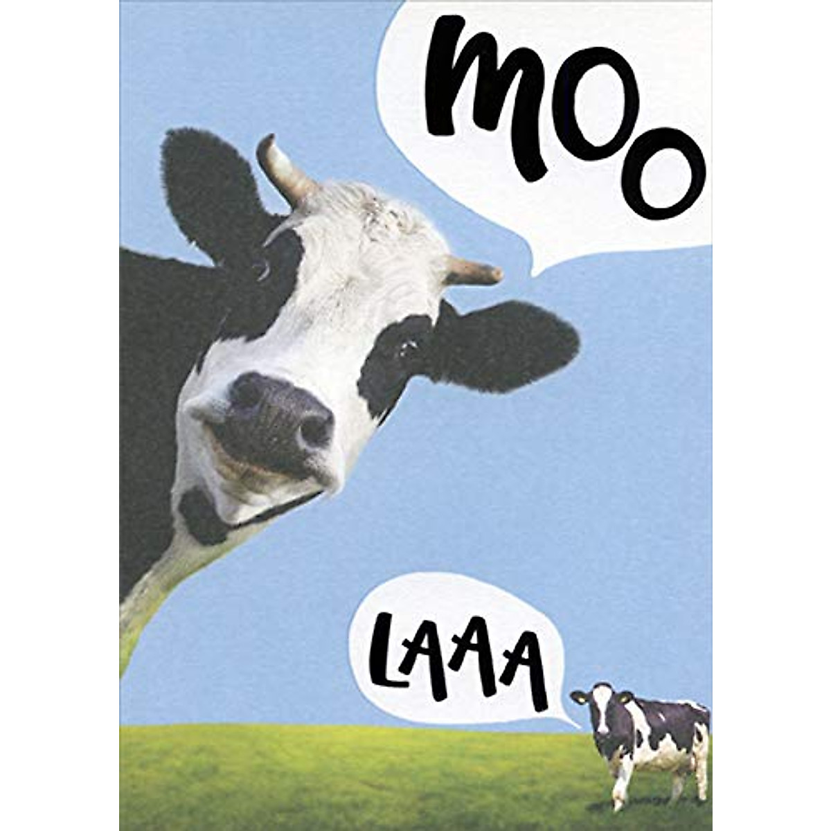 Designer Greetings Moo Laaa Cows Funny/Humorous Birthday Card