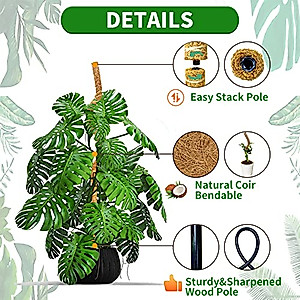 ICoirstream Coir Moss Pole Plant - 2 Pcs 31.5 Inch Coir Moss Pole Bendable and Stackable to 55 Inches - Use Alone or Together. Support Poles for Indoor Climbing Plants