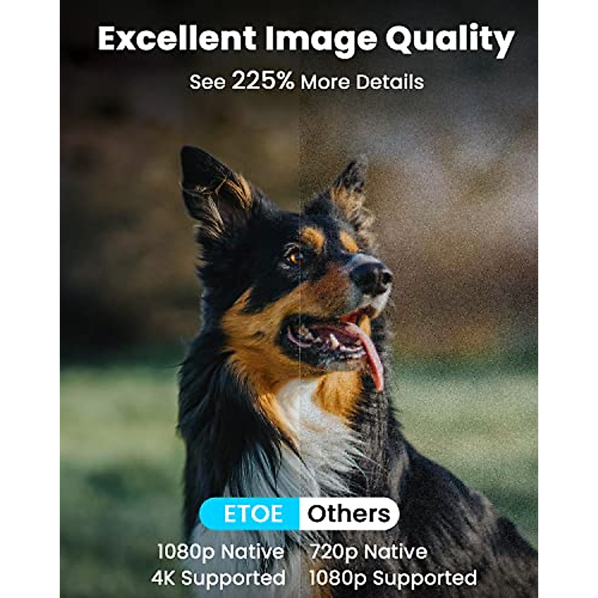 ETOE D2 Pro Projector with Carrying Bag