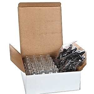 Vivaplex, 24, Clear, 15 ml (1/2 oz) Glass Bottles, with Glass Eye Droppers