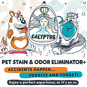 Calyptus Pet Stain and Odor Remover | Orange and Enzyme Cleaner Duo Solution for Pets | 128oz (64oz x 2 Bottles) | Carpet Cleaner and Odor Eliminator for Cat Urine, Dog Pee, and Poop | Pro Strength