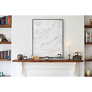 Paddywax Library Collection William Shakespeare Scented Soy Wax Candle, 6.5-Ounce, Paprus, Palm & Eucalyptus