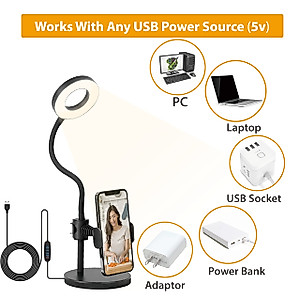 ONEXT USB LED Desk Lamp with Phone Holder Flexible Gooseneck 3 Color Modes 10 Brightness Dimmable for Reading Nightlight Work