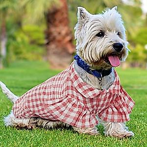 Yagamii Cotton Cat Clothes White and Red Plaid Cat Shirt with Cute Sleeves Dog Pet Apparel Kitten T-Shirt Breathable Pet Clothes Outfit Cat Costume for Kitty Small Dogs Puppy
