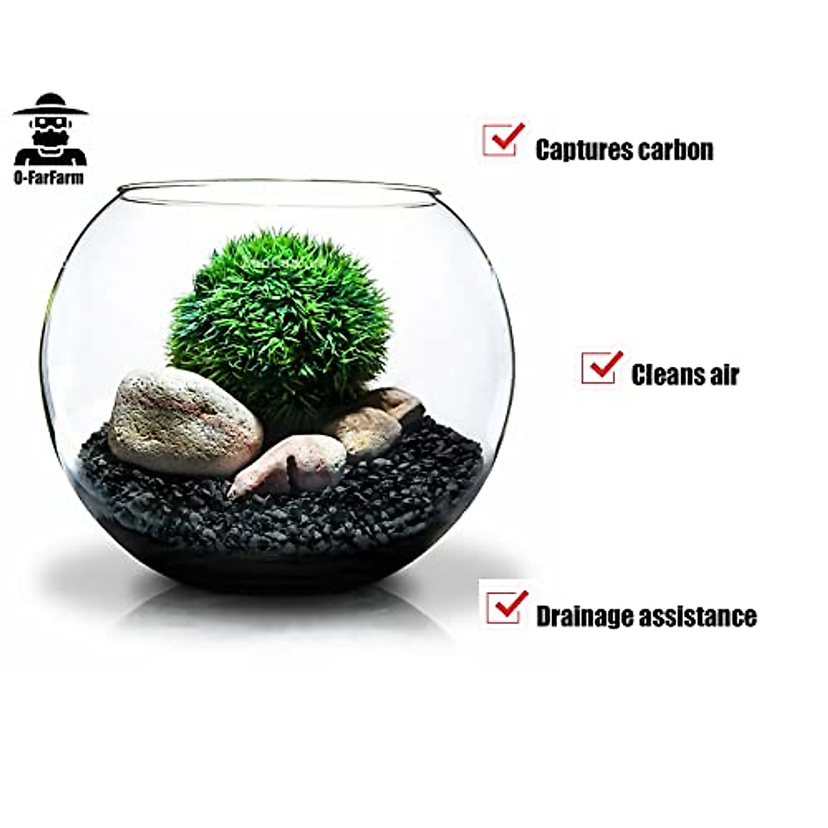 O-FarFarm Horticultural Charcoal for Potted Plants 1 QT, Hardwood Charcoal for Potting Soil Amendment, Orchids, Terrariums, and Gardening