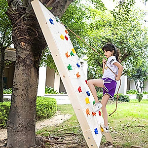 SEKKVY 25 Rock Climbing Holds with 6.56Ft Knotted Climbing Rope, Kids Climbing Holds for Indoor Outdoor Play Set, Rock Wall Climbing Kit with Mounting Hardware, Multi-Color