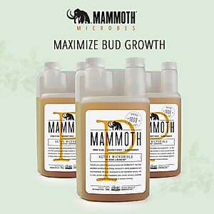 1000ml Mammoth P - Organic Bloom Booster | Soil Inoculant |