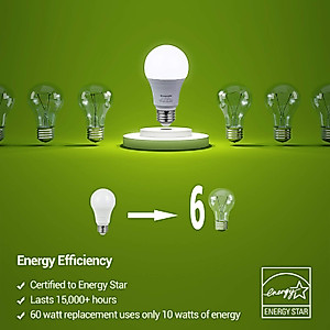 DEWENWILS 4 Pack A19 Dimmable LED Light Bulbs,10-Watt(60W Equivalent), 800 Lumen, 5000K Daylight Dimmable Bulb, E26 Base Light Bulb, UL Listed