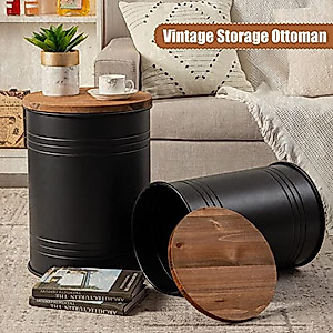 BRIAN & DANY 2 Pack Farmhouse Accent Side Table, Rustic Storage Ottoman Seat Stool with Round Wood Lid, Galvanized Metal Storage Bin for Living Room Furniture, Black