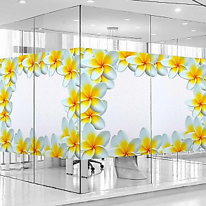 White Yellow Home Window Privacy Film Removable Frosted Glass Window Film for Home, Office, Bedroom, Shower, Hawaiian Frangipani Blossoms Exotic Glass Films 17.7Wx23.6L-inch x2 Pcs