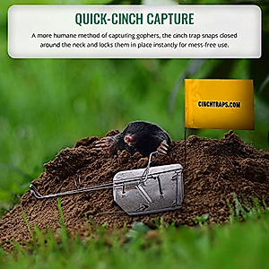 Cinch Deluxe Mole Trap Kit- Small (2 Packs) Heavy Duty, Reusable Rodent Trapping System, Weather Resistant, Outdoor Use - for Lawns, Gardens, Sports Fields, Ranches, Farm Lands, Yards and More