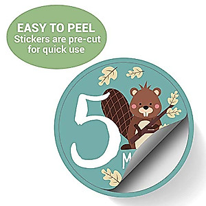 Baby Monthly Stickers | Woodland Creatures Baby Milestone Stickers | Newborn Boy or Girl Animal Stickers | Month Stickers for Baby Boy | Gender Neutral | Unisex Monthly Milestone Stickers (Set of 24)