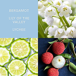 A∙SCENT Charming Rose Body Mist | Light Misting Spray Fragrance for Women, 8.0 Fl Oz/ 236ml