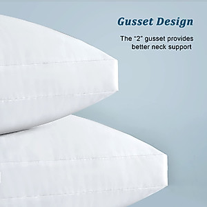 EIUE Bed Pillows for Sleeping 2 Pack Queen Size，Super Soft Down Alternative Microfiber Filled Pillows,20 x 30 Inches,White