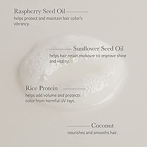 Seed Phytonutrients - Natural Everyday Shampoo | Sustainable, Vegan Clean Beauty (8.5 fl oz | 250 ml)