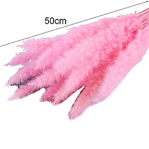 Mosichi Artificial Flower,15Pcs/Bundle Small Pampas Grass Ornamental Desktop Decor Dried Flower Birthday Party Artificial Reed Bouquet for Garden Garden - Blue