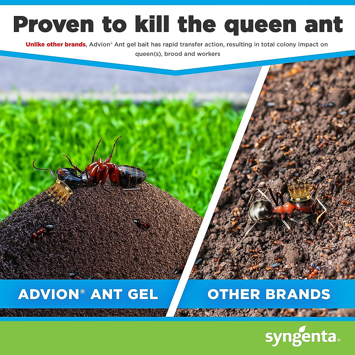 Syngenta Advion Ant Gel Station Insecticide, 3 Stations x 4-Grams, Ready-to-Use Ant Gel Bait with The Active Ingredient Indoxacarb, Ant Bait for Use Indoor and Outdoor, Long-Lasting Ant Killer