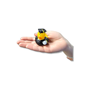 Cool Holiday Rubber Ducks (2") Standard Size. (12 Pack) Cute Duck Bath Tub Pool Toys. (Graduation Rubber Ducks)