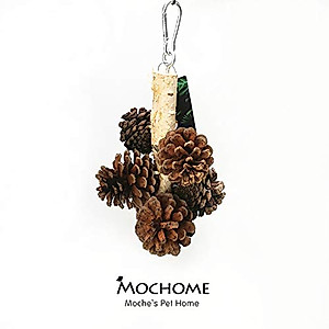 ATB2U 3 Packs Natural Bird Chewing Toys Swing Pet Bird Cage Toy for Parrotlets, Parakeets, Cockatiels and Lovebirds