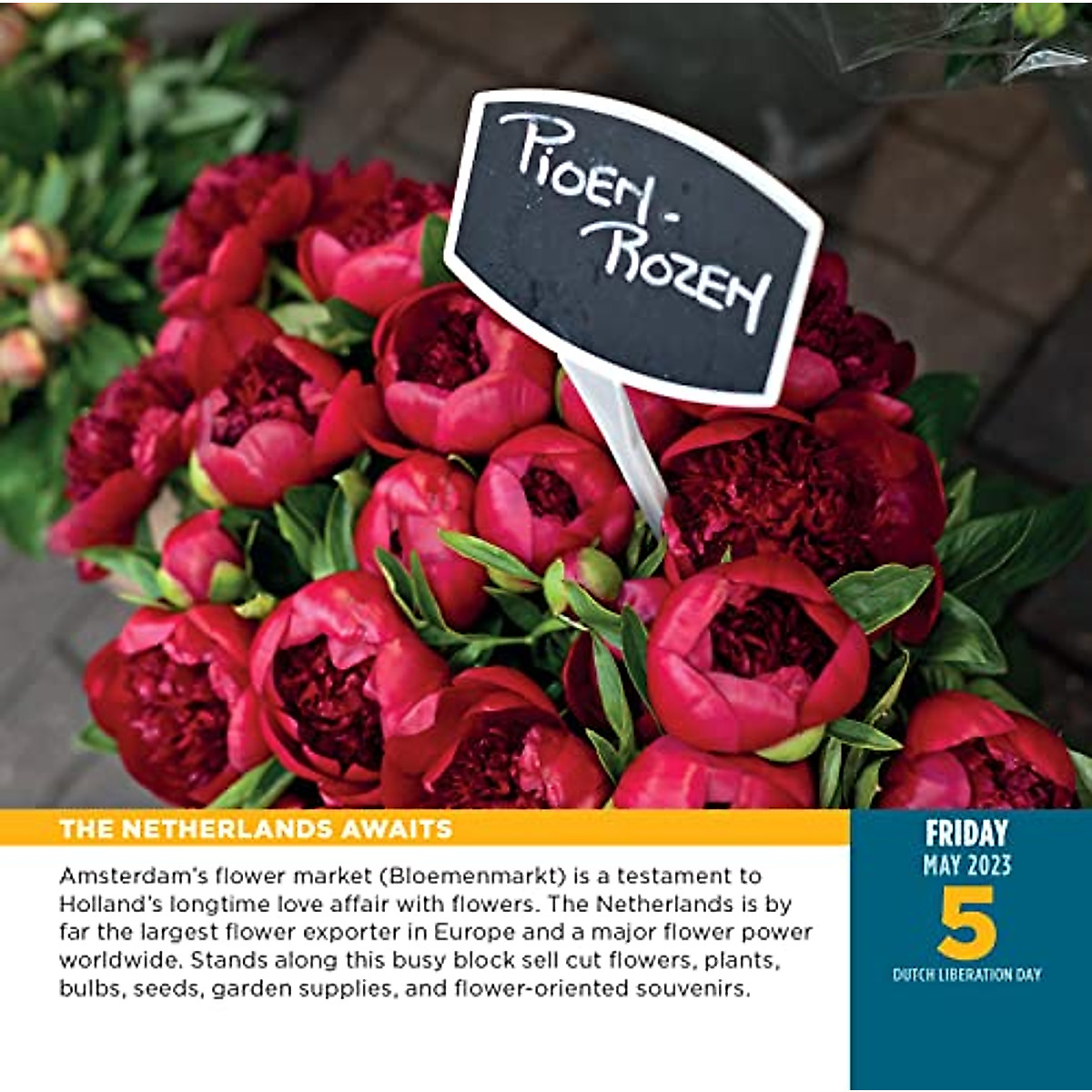 Rick Steves’ Europe Page-A-Day Calendar 2023: 365 Days to Rediscover Europe in 2023