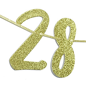 I'm 28 Bitches Crown Banner, Happy 28th Birthday Party Decorations (Pink & Gold)