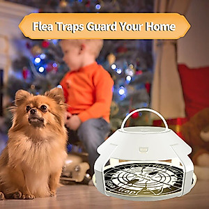 2 Packs Flea Traps for Inside Your Home with Light, Flea Light Trap for Bug USB Charing Insect Pest Control Traps for Kitchen, Living Room, Balcony, and Bedroom