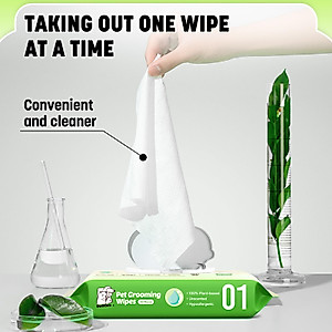 OWOCARE Dog Wipes for Paws and Butt, Plant-Based Large Pet Wipes for Dogs/Cats Hypoallergenic, 8X9 Inch Easy to Use Dog/Cat/Puppy Cleaning Grooming Wipes, Gentle, Degradable (200 Count,Unscented)