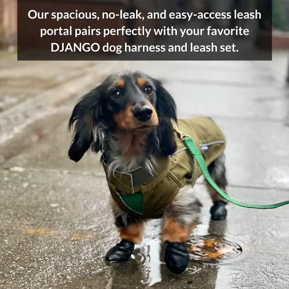 DJANGO City Slicker All-Weather Dog Jacket & Water-Repellent Raincoat with Reflective Piping (Medium, Kombu Green)