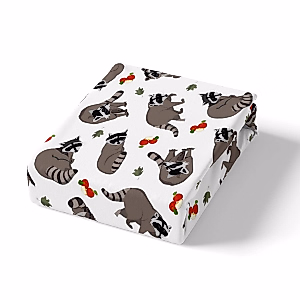 Feelyou Cute Raccoons Bedding Fitted Sheet Cartoon Raccoon Bed Sheet Set for Kids Boys Girls Lovely Fruits Leaves Decor Bedding Sheets Grey Animal Bed Cover with 2 Pillowcases 3Pcs Bedding Queen