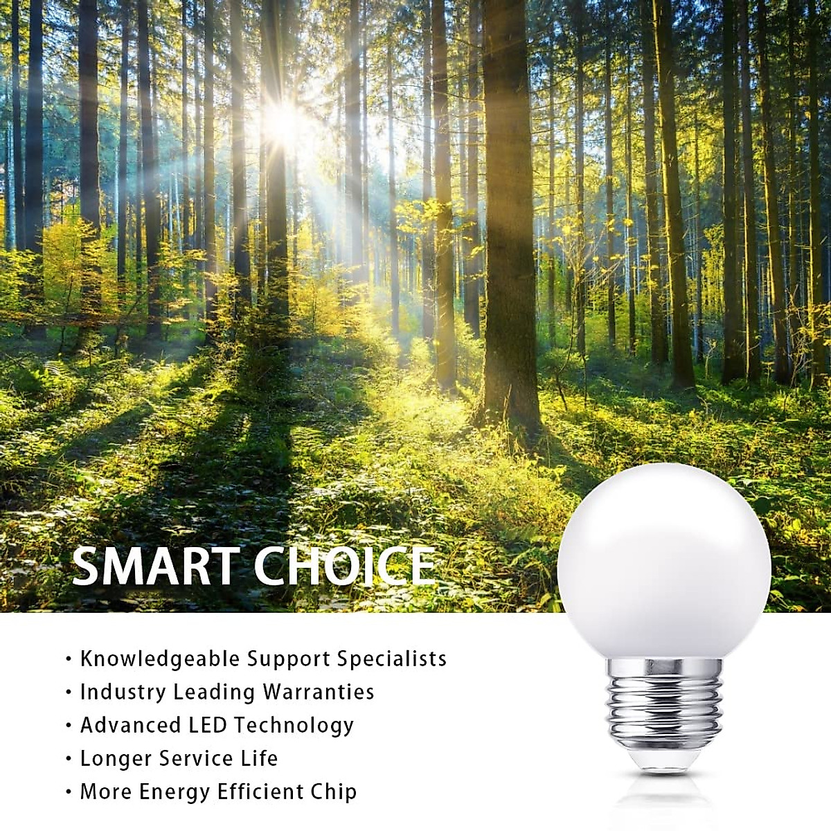 OTATEAN 1W Light Bulbs Equivalent 15 Watt 150LM Light Bulb Standard E26 Base Small Light Bulb for Light Strip, Vanity Mirror, Frosted, Daylight White 6000K (2 Pack)