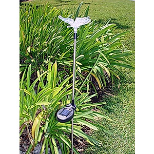 Ntertainment House Set of 1 Solar Garden Stake Lights with Color Changing LED or Regular White LED Landscape Path Lights (1 Piece) (Butterfly)