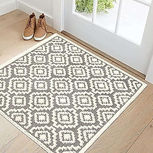 The Sofia Rugs Entryway Rug - Absorbent Door Mat Indoor with Non-Slip TPR Backing - Dirt Trapping Washable Indoor Doormat - Perfect Indoor Door Rug for Dogs, Kids, and High Traffic Areas