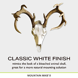 Mountain Mike’s Skull Master - European-Style Mount Kit for Antlers - for Antlers Larger Than 4 ⅞” Diameter - Compatible with Harvested and Shed Antlers - White (Large)…