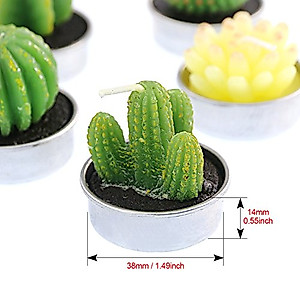 Swpeet 12Pcs Decorative Succulent Cactus Tealight Candles Kit, Cute Smokeless Succulent Plants Perfect for Candles Festival Wedding Props and House-Warming Party