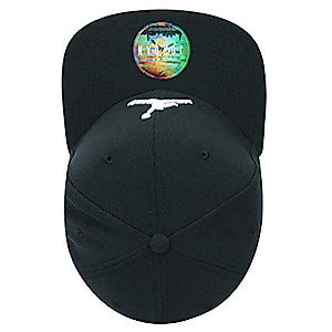 NIKE Men's Standard Jordan PRO Jumpman Snapback, Black/White, One Size