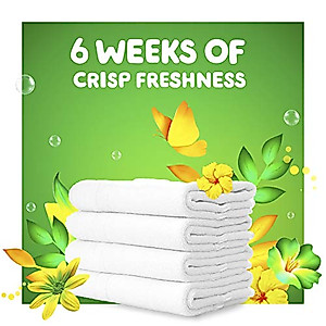 Gain flings! Liquid Laundry Detergent Soap Pacs, HE Compatible, 3 Bag Value Pack, 111 Count, Long Lasting Scent, Original Scent