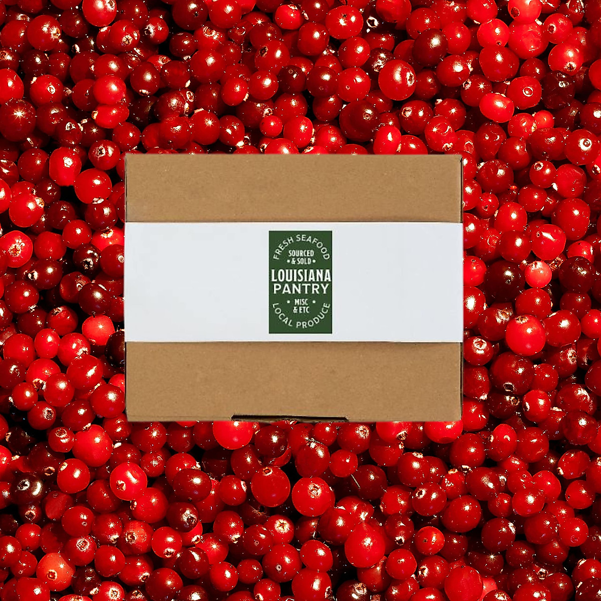 Louisiana Pantry Sprite Winter Spiced Cranberry 12 oz Gift Set | Soda With A Perfect Holiday Flavor In 12 oz Cans | Enjoy This Seasonal Soda (12 Cans)
