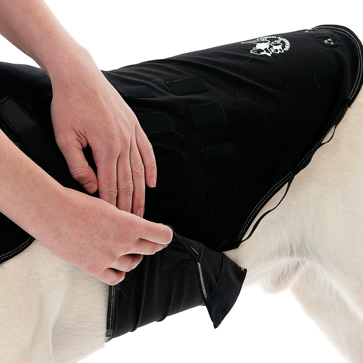 Company of Animals Anxiety Wrap, Black, Toy Sized