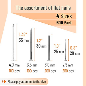 Mr. Pen- Nail Assortment Kit, 600pc, Small Nails, Nails, Nails for Hanging Pictures, Picture Hanging Nails, Finishing Nails, Hanging Nails, Picture Nails, Wall Nails for Hanging, Pin Nails