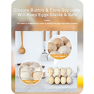 Pintuson 50 Pack Egg Cartons Cheap Bulk 12 Count - Holds 1 Dozen Clear Blank Egg Cartons for Chicken Eggs - Clear Empty Chicken Egg Carton for Fresh Medium Eggs